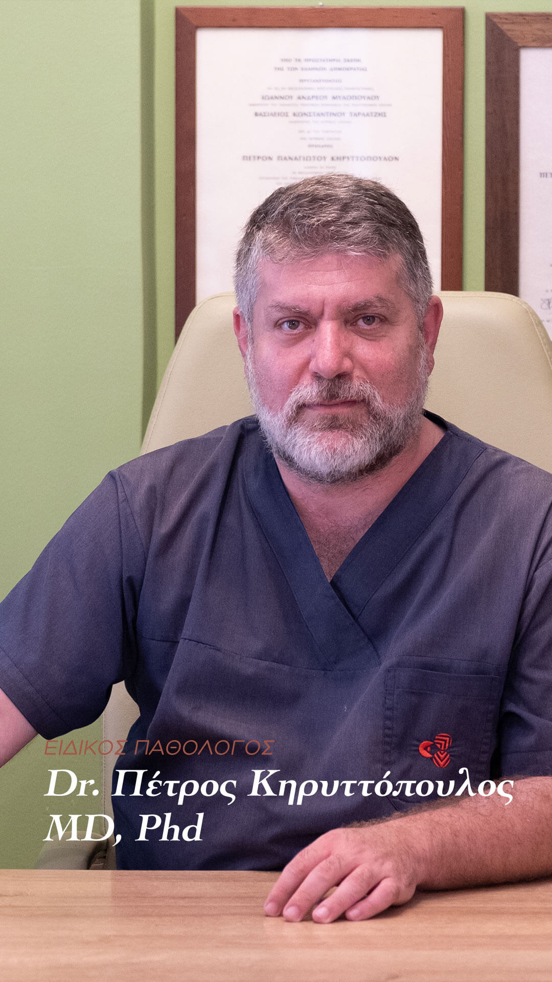 Βιογραφικό – Dr Petros Kirrytopoulos